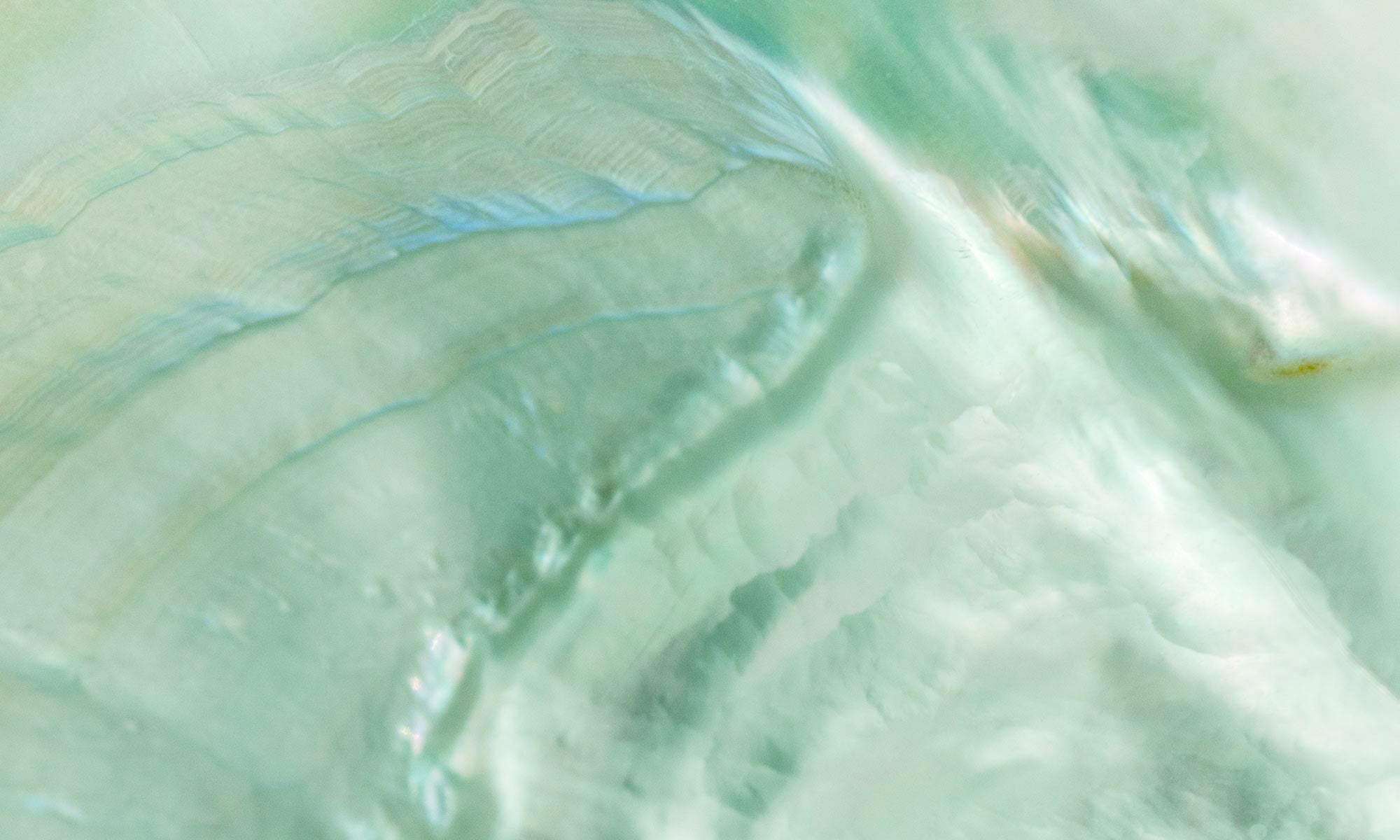 What is the Kimberley Process? Conflict-Free Diamonds – Loytee